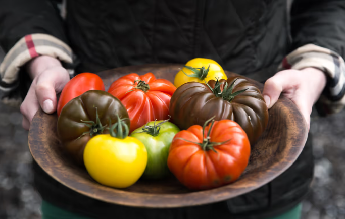 Our Menus | Proud to be serving seasonal, delicious dishes from our ...